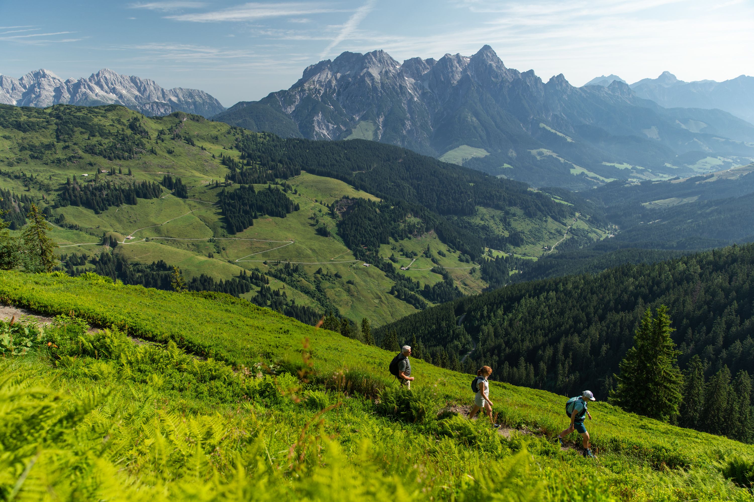 Advertorial: Inghams Walking