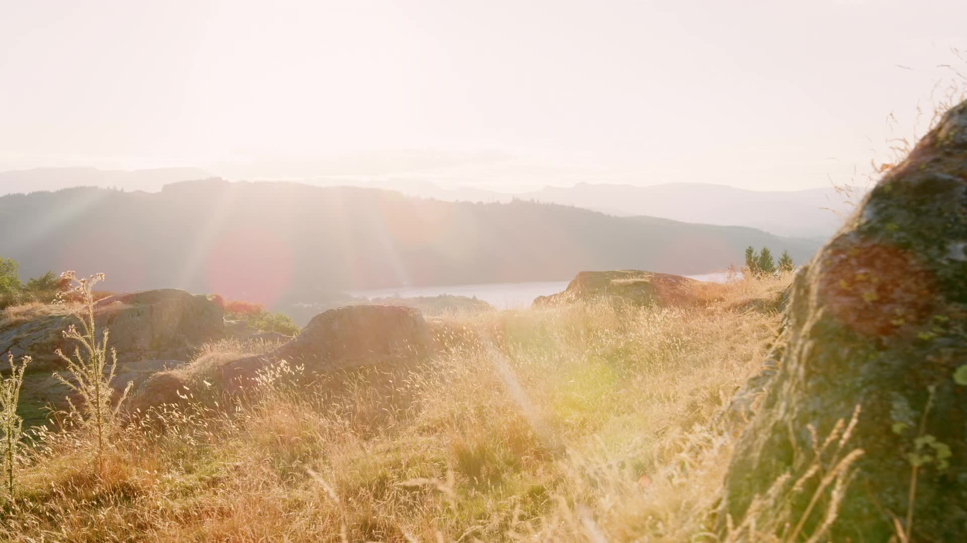 Masterclass: Summer safety tips